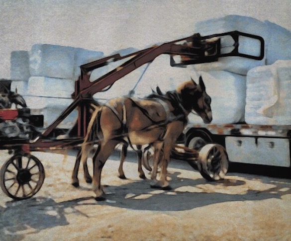 Moving by Mule | The Yard Ramp Guy® Blog